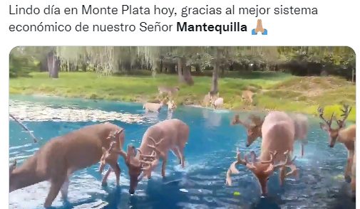 Revelaciones de Mantequilla desatan lluvia de memes en redes sociales